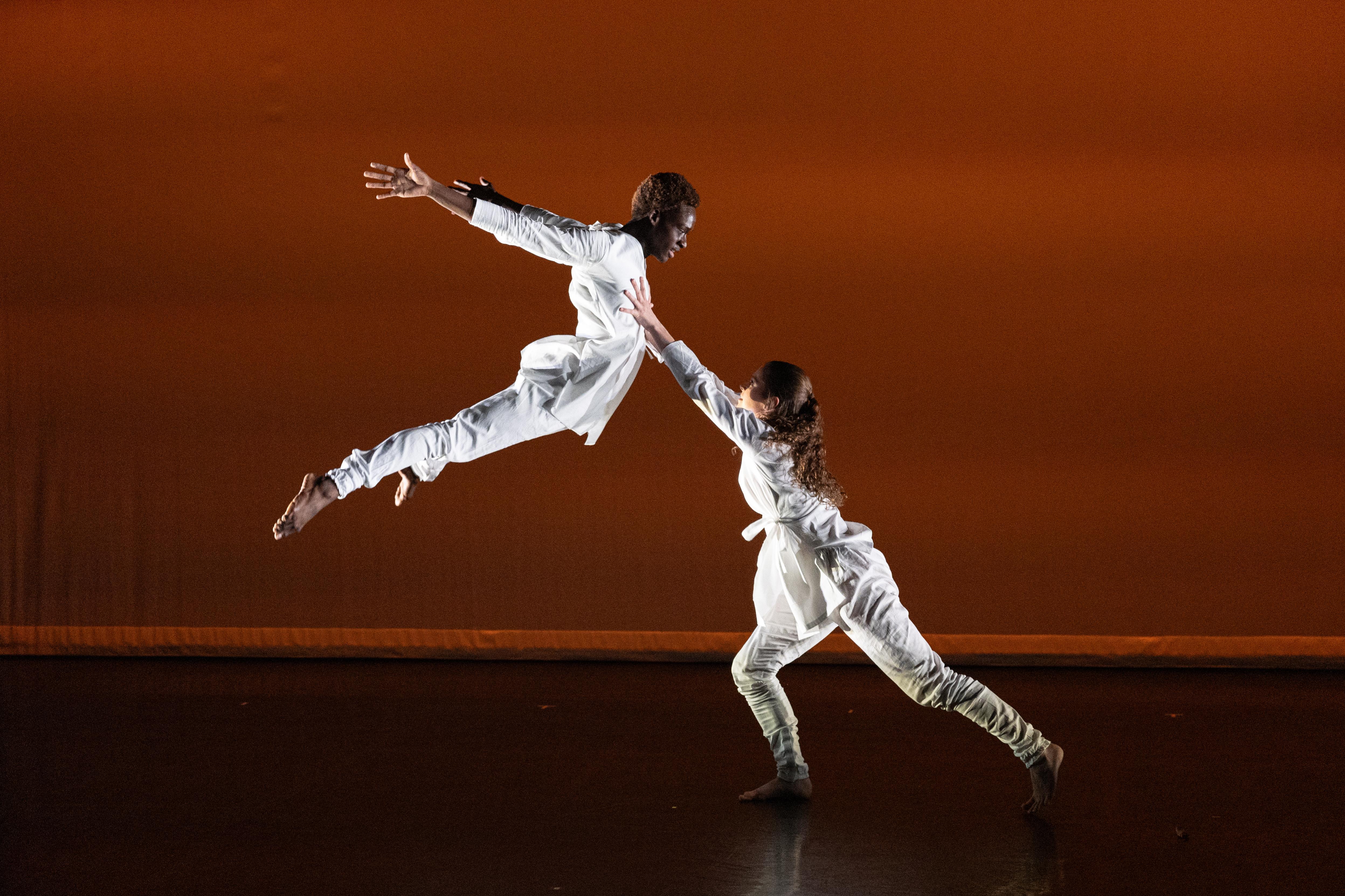Apply to the Ailey/Fordham BFA in Dance Program | Alvin Ailey
